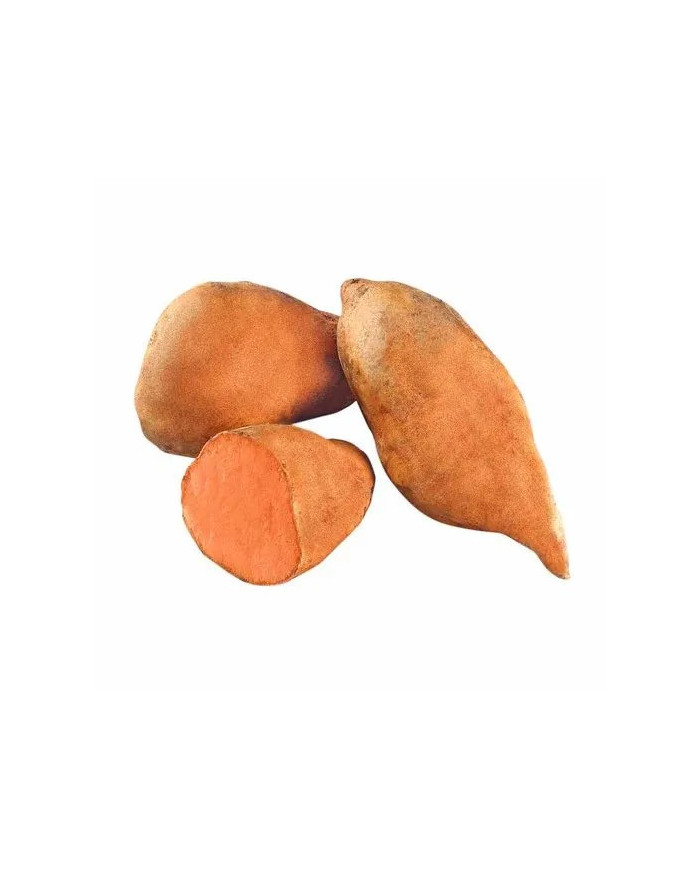 CAMOTE (YELLOW SWEET POTATOES)